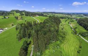 GC Wiggensbach/Allgäu | 360° Panorama-Tour